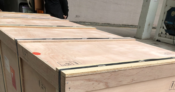 The Reality of Funeral Logistics (Air Transport of Remains) - HKU SPACE